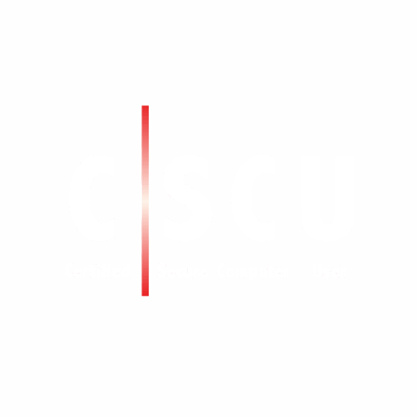 Jasa Penetration Testing (Pentest) - DSG Indonesia